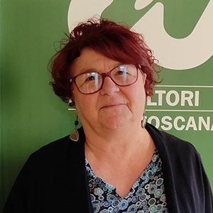 Project Team - DigiFE